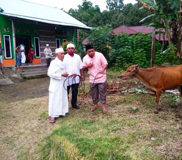 PDIP Halmahera Barat Salurkan Hewan Kurban di Dua Desa | kumparan.com