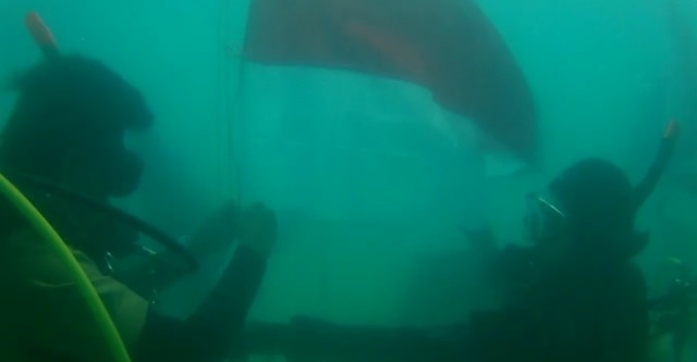 Kibarkan Bendera Merah Putih, 8 Club Diving Ini Kenalkan Wisata Bawah ...