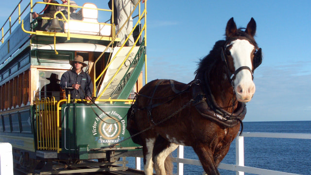 Trem yang Ditarik oleh Kuda dan Sejarahnya di Pelabuhan Victor ...