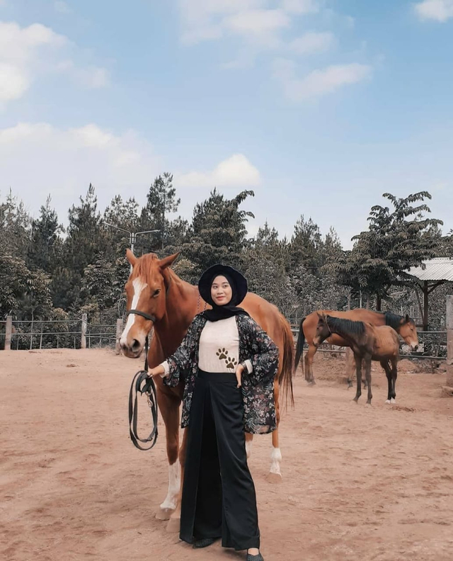 Peternakan Kuda Megastar, Batu! | kumparan.com