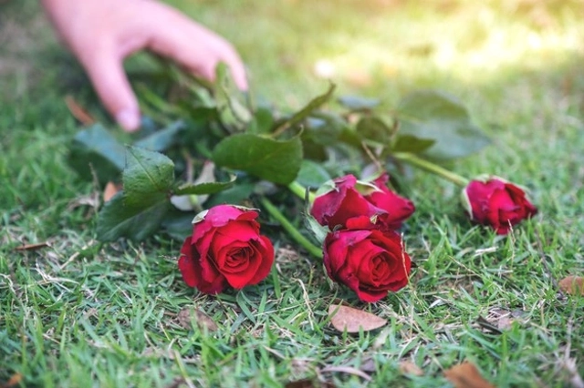 Deskripsi tentang Bunga Mawar: Ciri dan Jenis-Jenisnya | kumparan.com