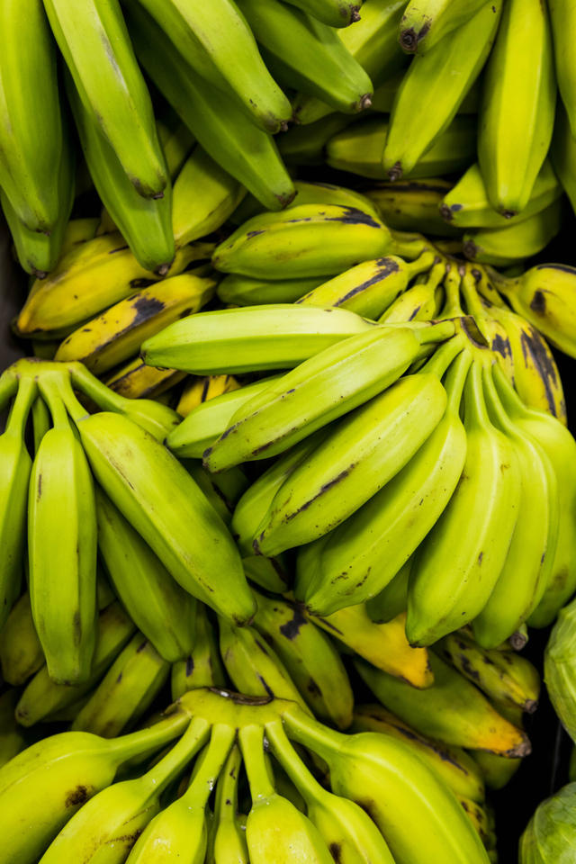 pisang raja bulu untuk bayi