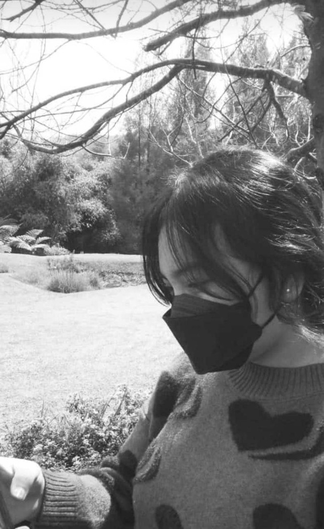 Sumatra Utara Punya Wisata Peternakan Sapi di Berastagi, Gundaling ...