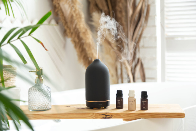 5 Perbedaan Diffuser dan Humidifier sebagai Pembersih Udara | kumparan.com