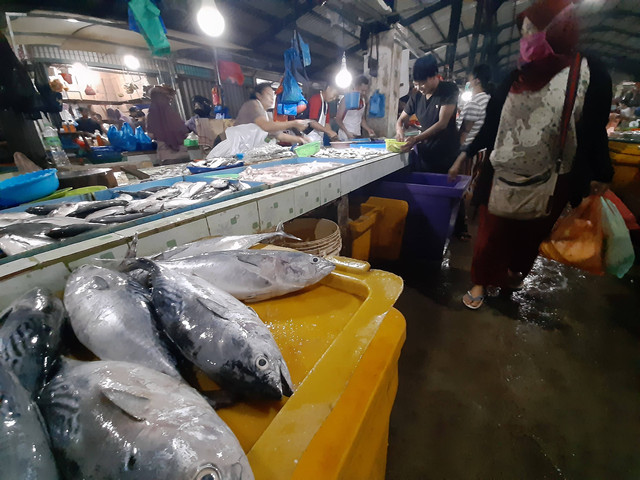 Produksi Perikanan Tangkap di Kepri Capai Rp 8,697 Triliun Sepanjang ...