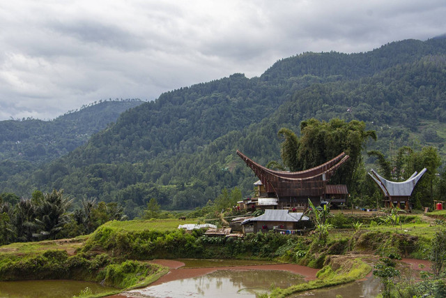 Esai Foto: Ritual Manene Suku Toraja dari Leluhur untuk Leluhur ...