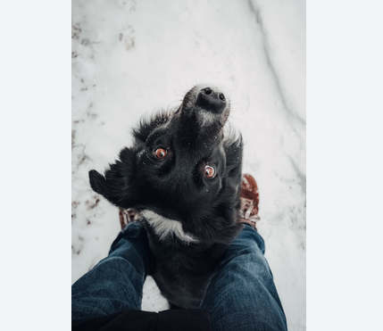 High Camera Angle: Definisi, Tujuan, hingga Tips Penerapannya ...