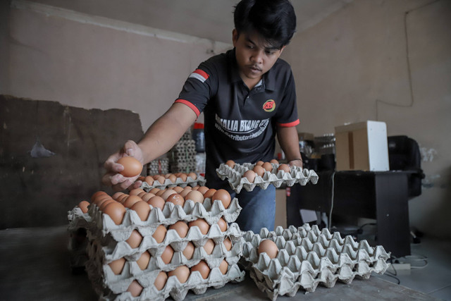 Harga Telur di Jakarta Masih Tinggi Rp 32-30 Ribu per Kg | kumparan.com