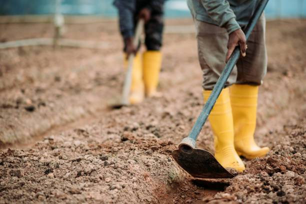 4 Arti Gancu dalam Kamus Besar Bahasa Indonesia dan Pembahasannya ...