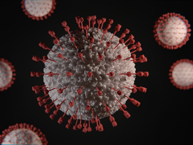 Tahapan Proses Replikasi Virus Melalui Siklus Litik dan Lisogenik ...