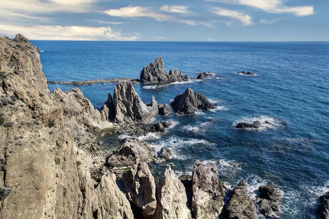 Pengertian Daur Biogeokimia dan Siklusnya dalam Ekosistem | kumparan.com