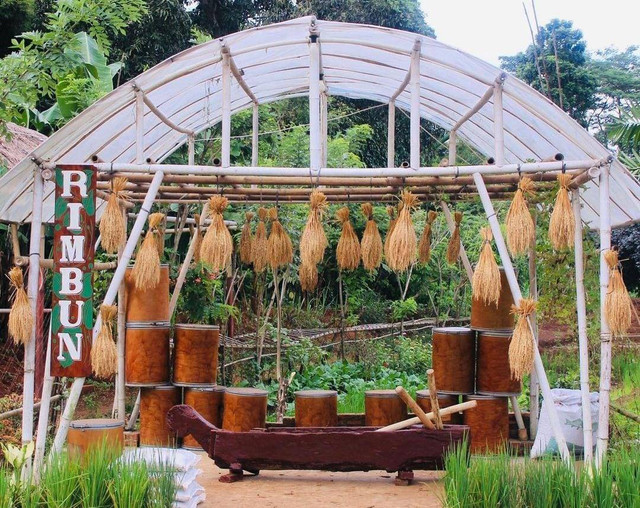 Kampung Konservasi Rimbun, Tempat Wisata Tangsel yang Viral di TikTok ...