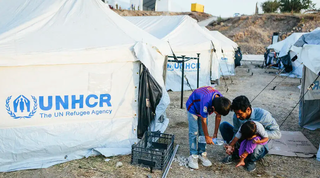 UNHCR: Peran, Tantangan, dan Contoh Kasus yang Ditangani | kumparan.com