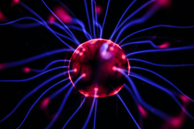 Pengertian Tahap Profase dalam Pembelahan Mitosis Sel | kumparan.com
