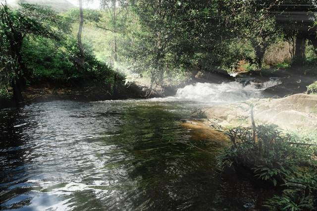 Sungai Winongo Kecil: Lokasi, Fungsi, dan Pemanfaatannya untuk Wisata ...