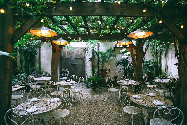 8 Tanaman yang Cocok untuk Cafe agar Terlihat Aesthetic | kumparan.com