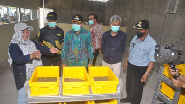 Maybank Inisiasi CSR Pengelolaan Sampah Organik Berbasis BSF di Bantul ...