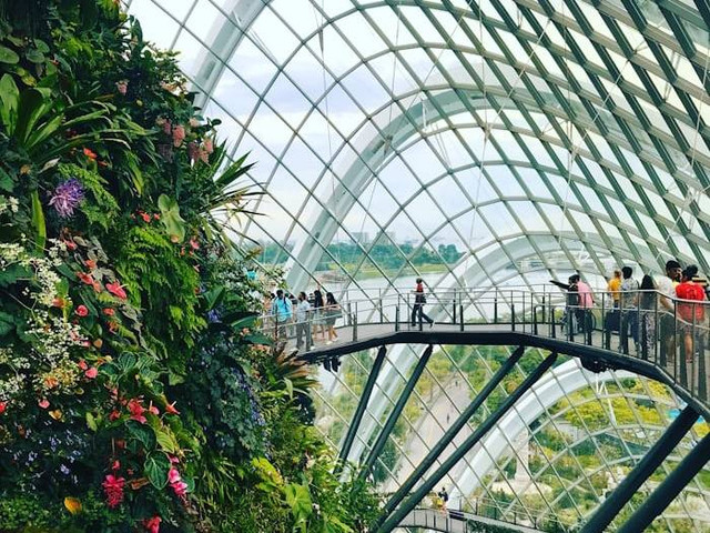 Istana Taman Jepun, Tempat Pelestarian Plasma Nutfah di Denpasar yang ...