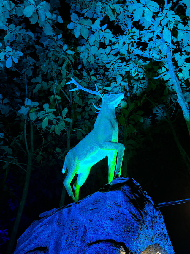 magic forest artinya