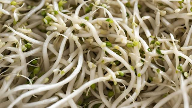 10 Manfaat Toge Untuk Kesehatan Tubuh Kita | kumparan.com