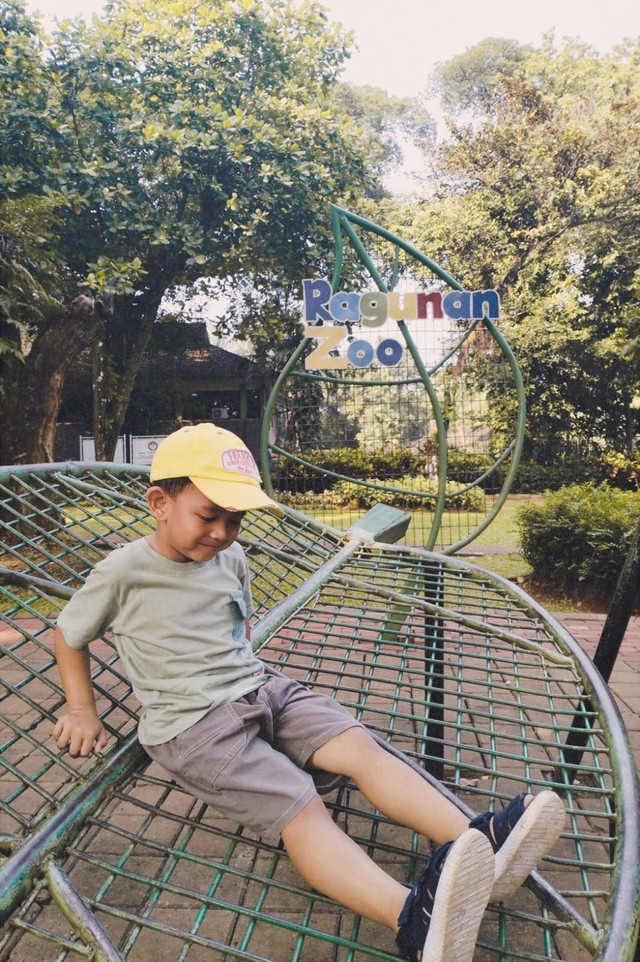 Ragunan, Destinasi Wisata Favorit Keluarga dengan Fasilitas Lengkap dan ...