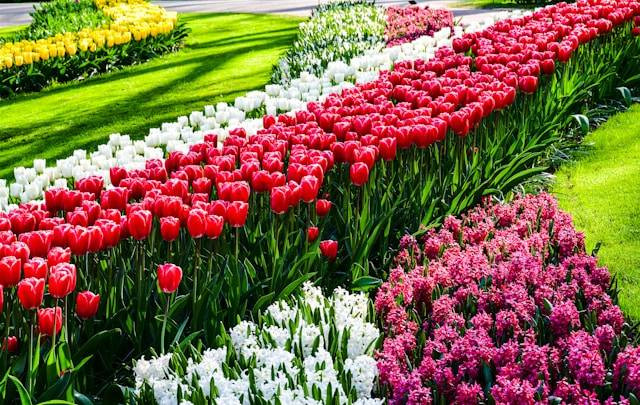 4 Daftar Taman Bunga Terindah di Dunia | kumparan.com