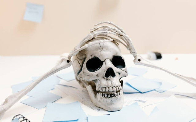 Perbedaan Manusia Purba dan Modern dari Aspek Kehidupan dan Kebudayaan ...