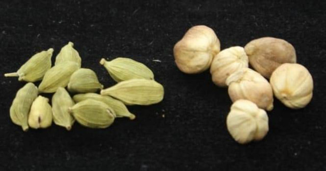 Serupa Tapi Tak Sama: Mengenal Dua Jenis Tanaman Kapulaga Lebih Dekat ...