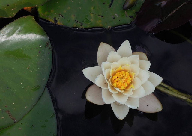 Objek-Objek yang Berkaitan dengan Bentuk dan Warna Unik | kumparan.com