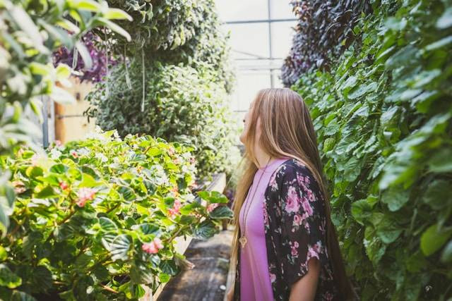 Penyakit Tanaman Nekrosis serta Gejala yang Penting Dikenali | kumparan.com