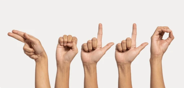 Mengenal Bahasa Isyarat BISINDO dan SIBI yang Digunakan oleh Komunitas ...