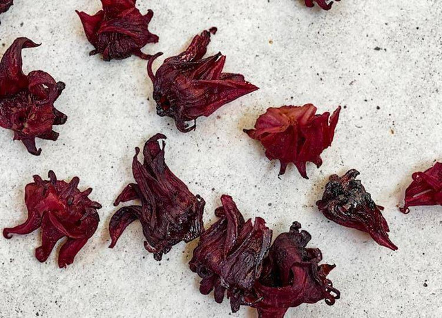 12 Jenis Penyakit yang Menyerang Tanaman Rosella | kumparan.com