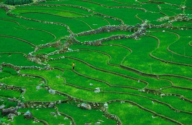 Sebutkan Beberapa Jenis Ekosistem Buatan Manusia yang Kamu Ketahui ...