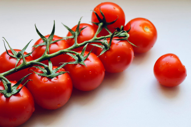 Tata Cara Bedeng Tomat dan Budidayanya dengan Baik | kumparan.com