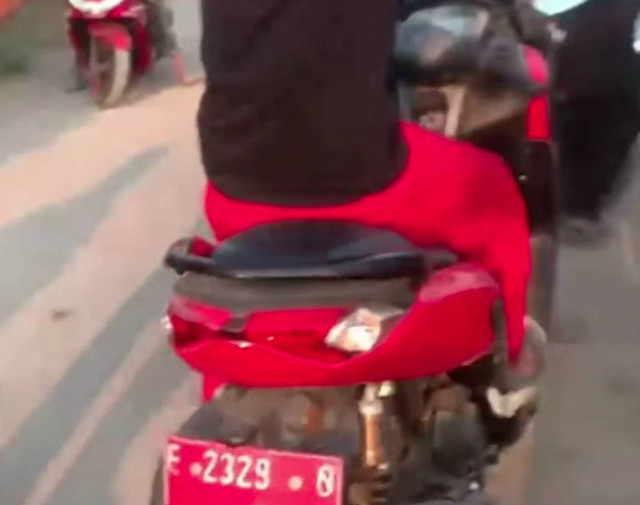 Viral Motor Dinas di Cirebon 'Dipakai Tawuran', Begini Penjelasan Kades ...