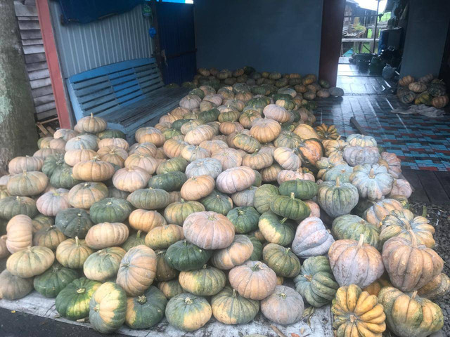 Ironi Kelimpahan Pangan | kumparan.com