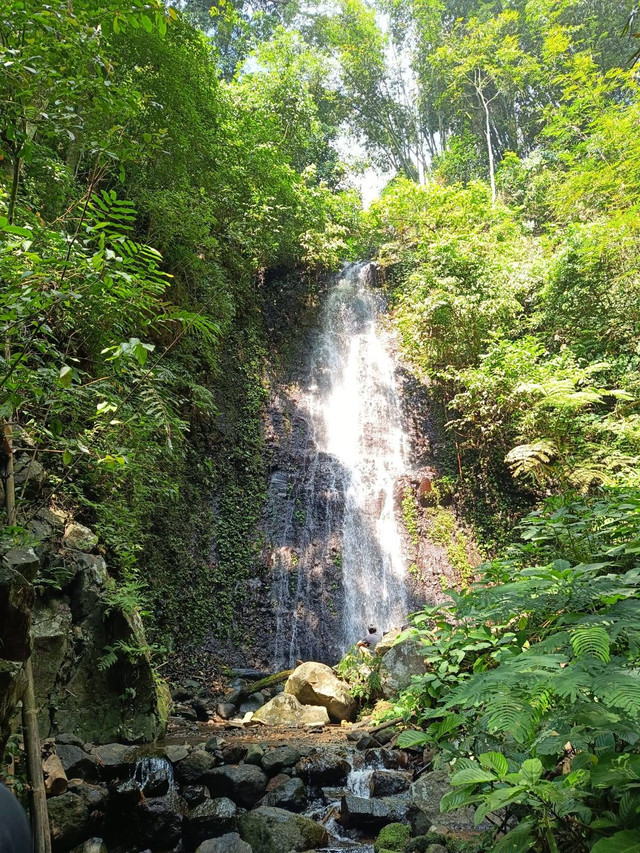 Opini: Aspek Lingkungan dalam Ketahanan Pangan di Indonesia | kumparan.com