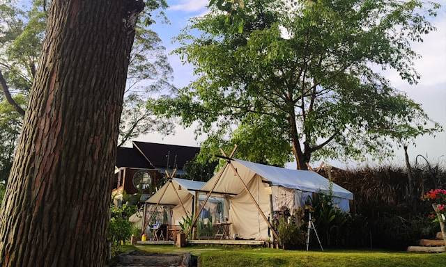 4 Tempat Glamping di Puncak yang Nyaman dengan Fasilitas Lengkap | kumparan.com