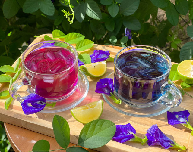 Rahasia Sehat di Balik Segelas Teh Bunga Telang | kumparan.com
