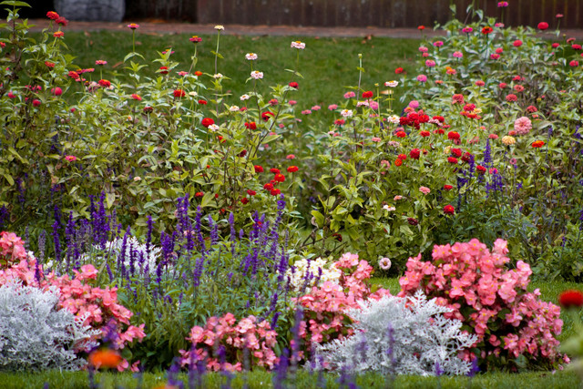 4 Taman Bunga di Malang Batu yang Punya Spot Foto Estetis | kumparan.com