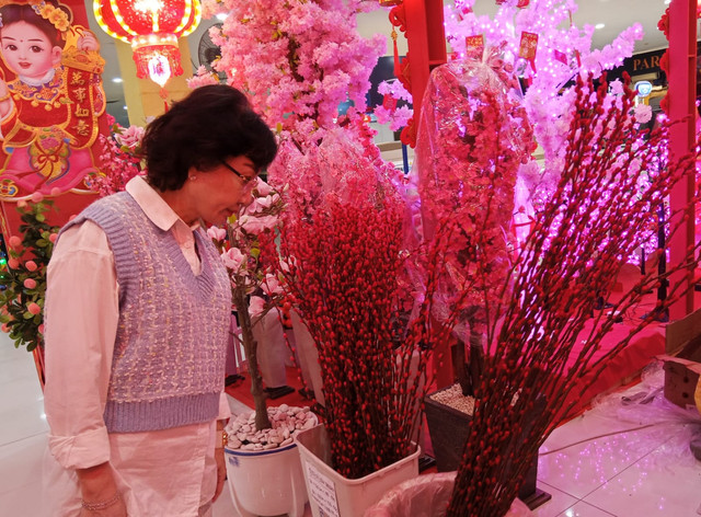 Mengenal Pussy Willow, Bunga Wajib Ada saat Imlek yang Dipercaya ...