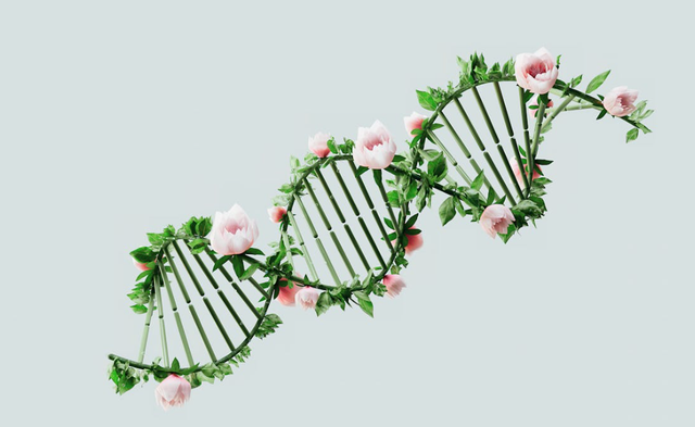 Pola Pewarisan Sifat Gen Letal: Pengertian dan Jenisnya | kumparan.com