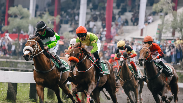 SARGA. CO Gelar Event Pacuan Kuda di Semarang, Total Hadiah Ratusan ...