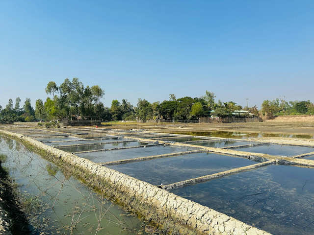 Perbedaan Empang dan Tambak yang Perlu Diketahui sebelum Memulai ...