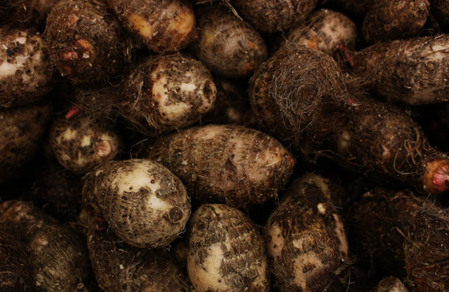 Taro Terbuat dari Apa? Simak Jawaban dan Manfaatnya di Sini | kumparan.com