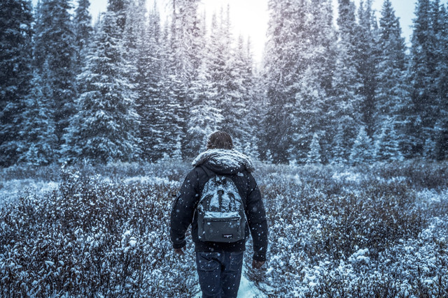 5 Film Monster Terbaik yang Seru dan Memicu Adrenalin | kumparan.com