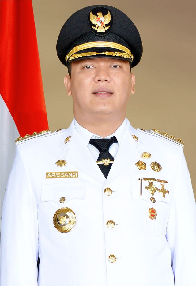 Profil Aries Sandi: Lulusan Magister Unila hingga Bupati Pesawaran ...