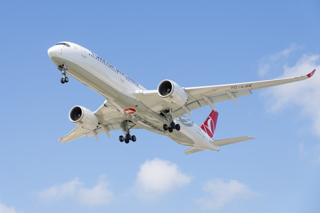 Profil Indonesia Airlines, Maskapai yang Masih Anyar | kumparan.com