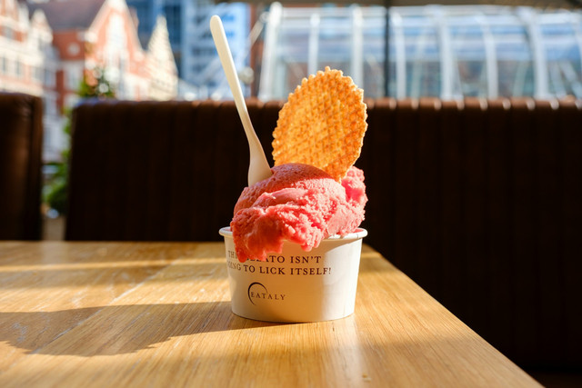 Daftar Menu Tempo Gelato Yogyakarta 2025 untuk Pencinta Dessert ...