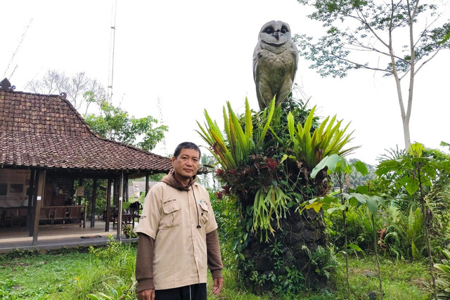 Kisah Pak Lim Tinggalkan Kemapanan, Pilih Teliti Burung Hantu Buat ...